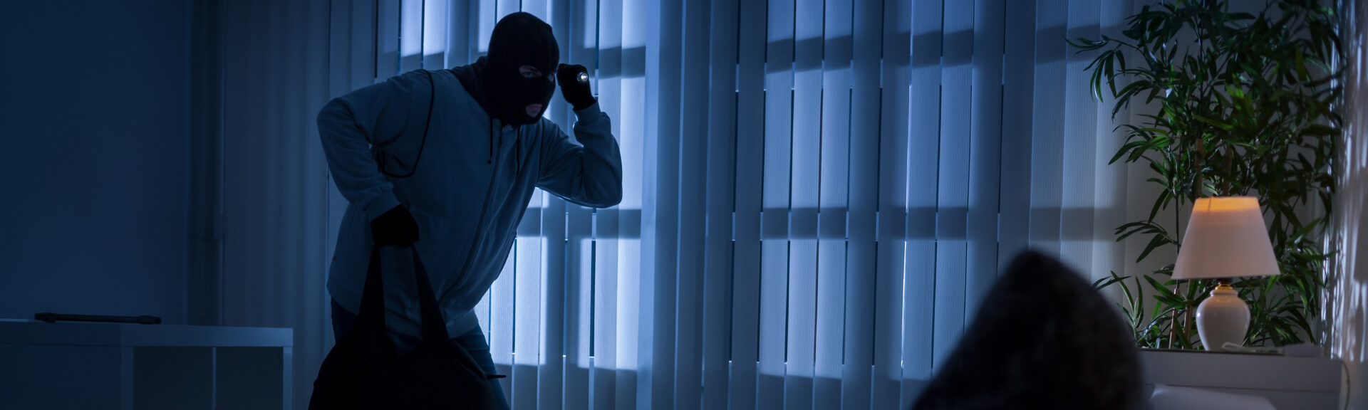 Crime Fidelity | Olson Duncan Insurance